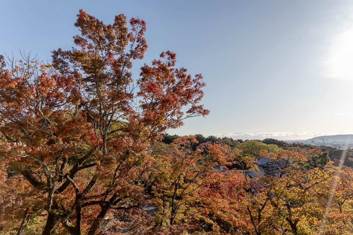 A Complete Visiting Guide for Autumn in Japan · Le Travel Style