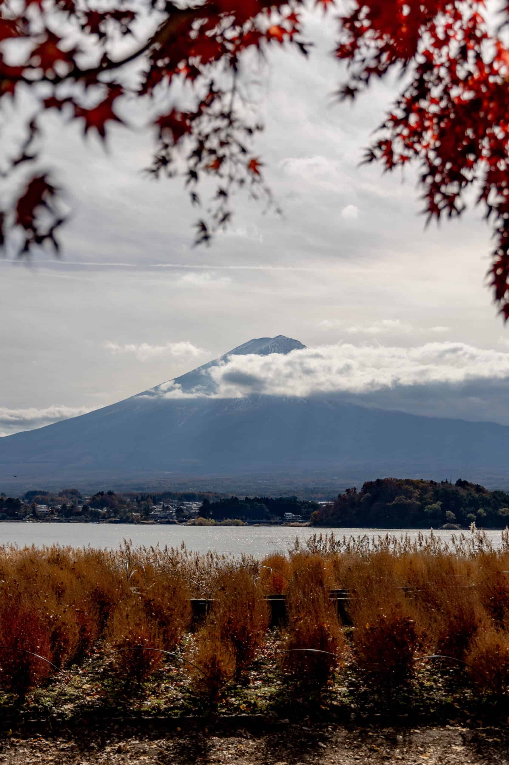 The Ultimate Day Trip to Mount Fuji: 1 Day Itinerary · Le Travel Style